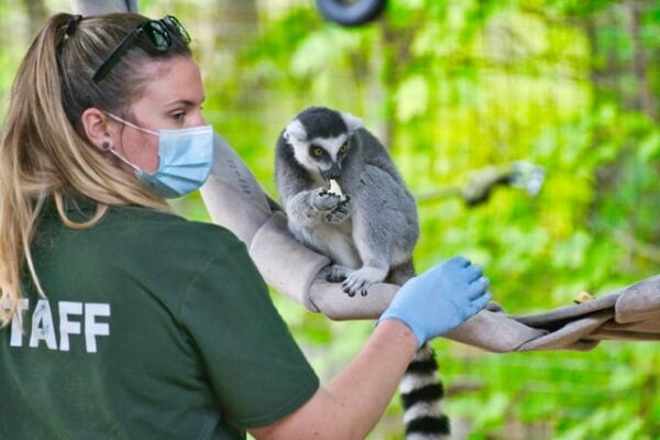 Zookeeper Job Description, Duties, Skills & Career Path | Jinn