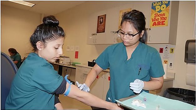 Healthcare Assistant Job Description, Duties, Skills & Career Path | Jinn