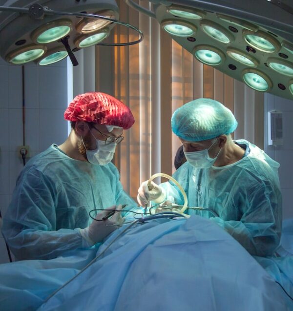 Specialised Doctor Job Description, Duties, Skills & Career Path | Jinn