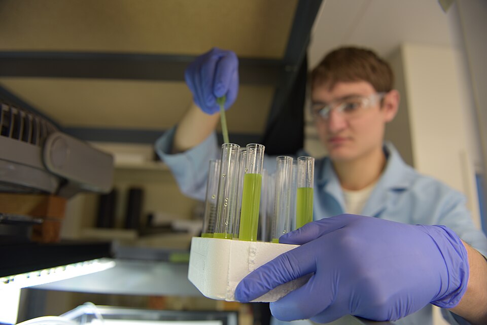 Biochemical Engineer Job Description, Duties, Skills & Career Path | Jinn